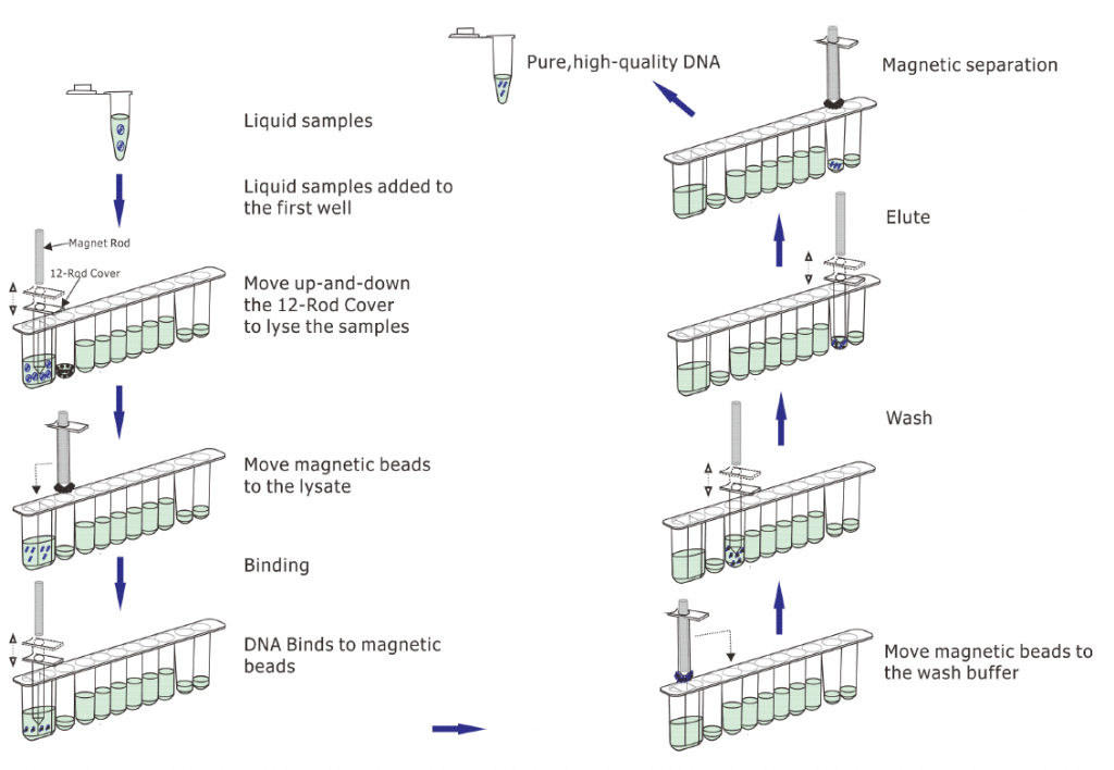 Lab-Aid 824 DNA Extraction Kit: 48 tests - ProDiag