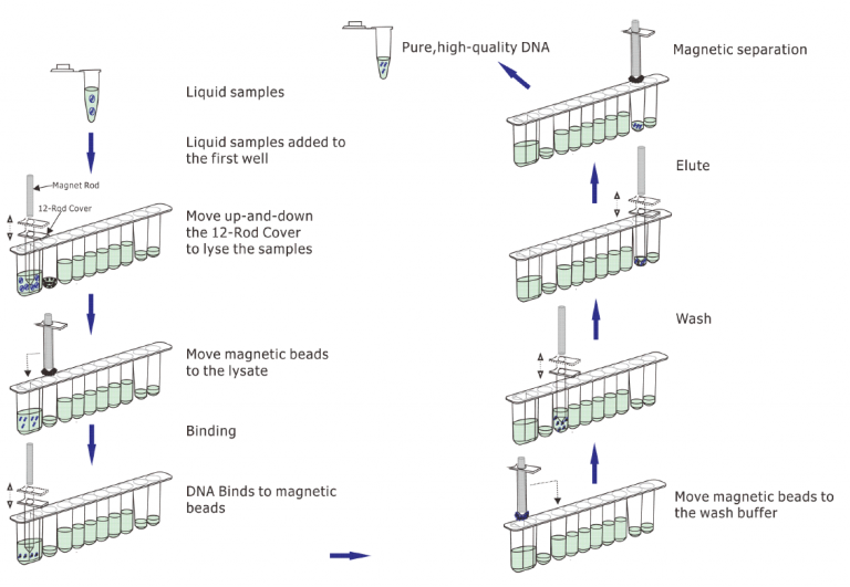 Lab-Aid 824 DNA Extraction Kit: 48 tests - ProDiag